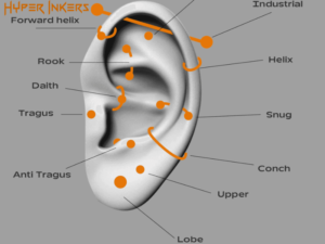 Complete Guide to Piercing Placements: How to Find Your Perfect ...